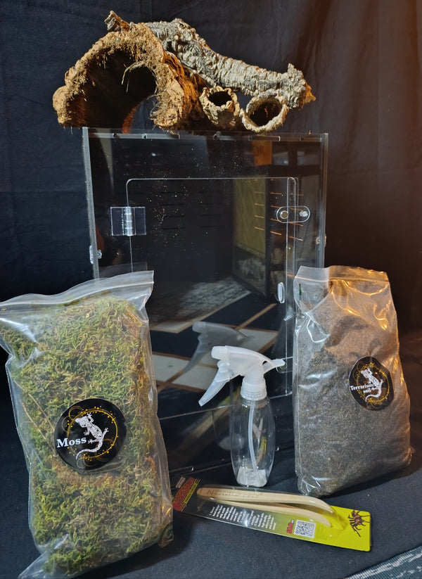 Large Enclosure Starter Kit – Galaxy Geckos Za